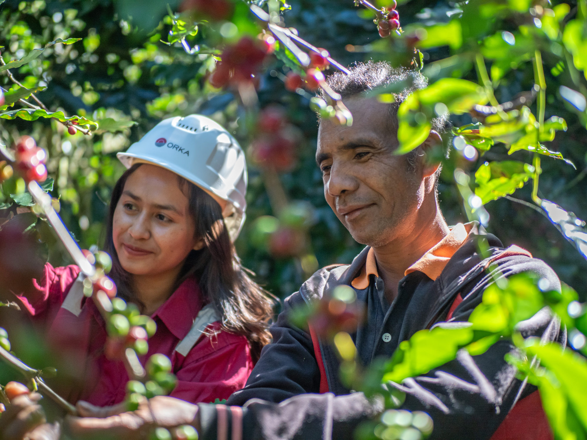 Our Project | KS Orka